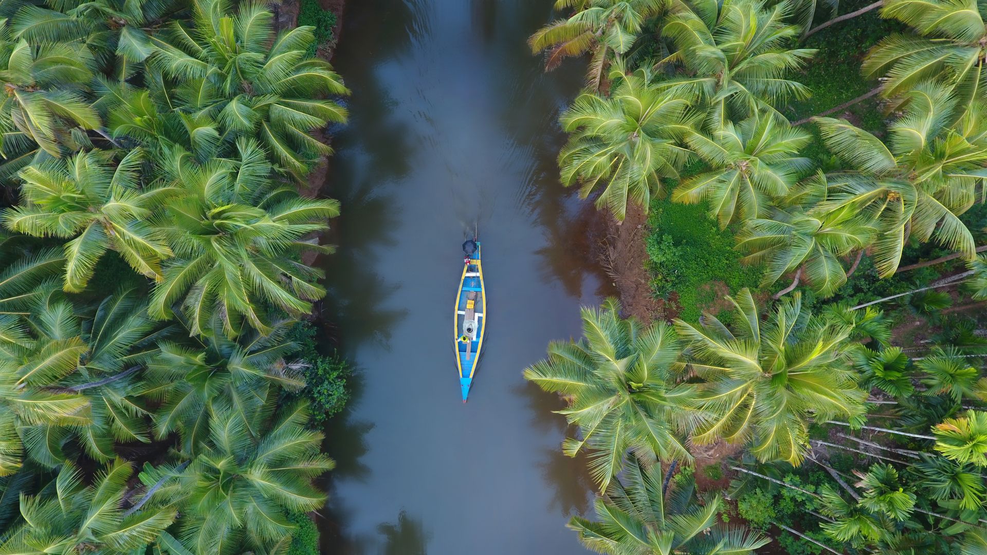 7 Days Kerala Tour Package - Munnar, Thekkady, Alleppey & Kovalam ...